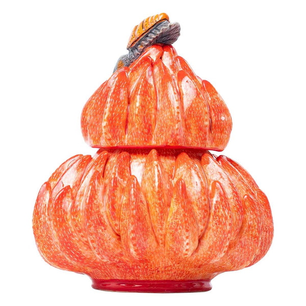 Protea & snail jewelry box - pascoegallery